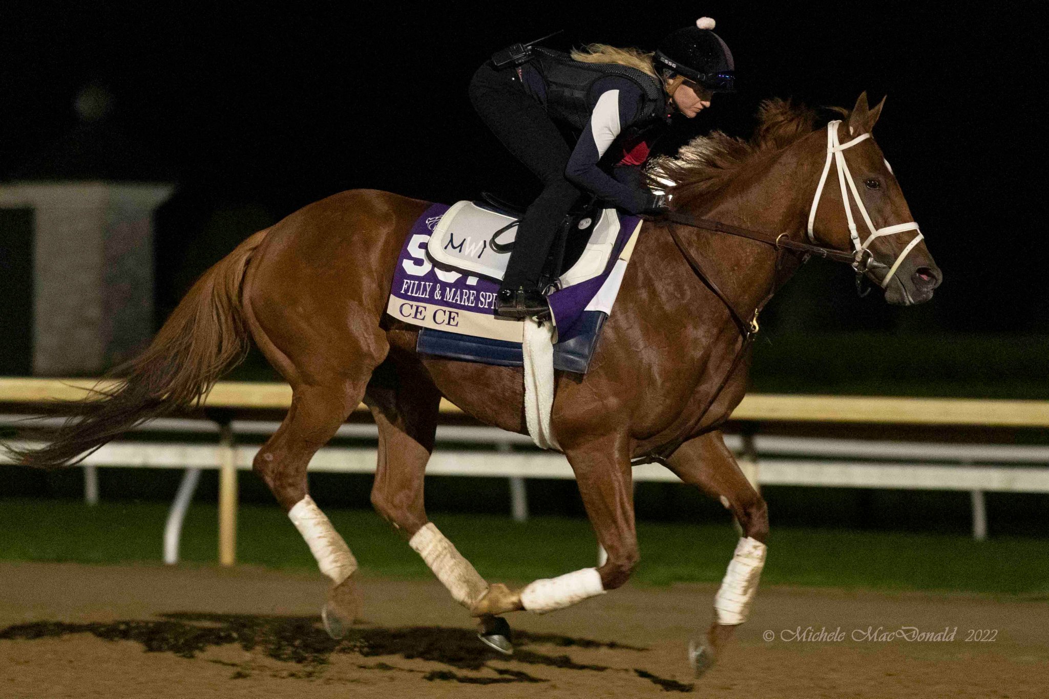 Michele MacDonald on Twitter: "Champion Ce Ce (Elusive Quality), trained by @mwmracing, was on ...