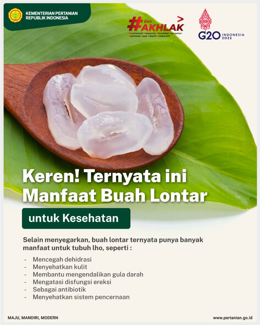 Buah Lontar