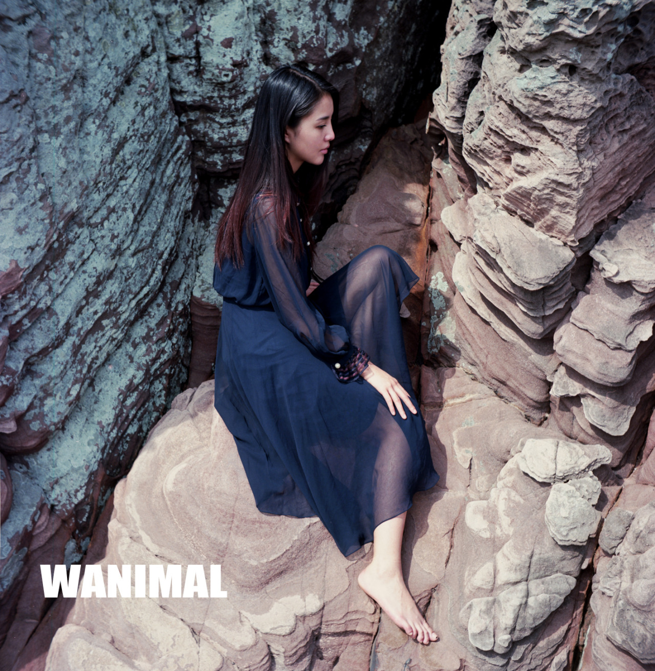 WANIMAL (@1983wanimal) / Twitter