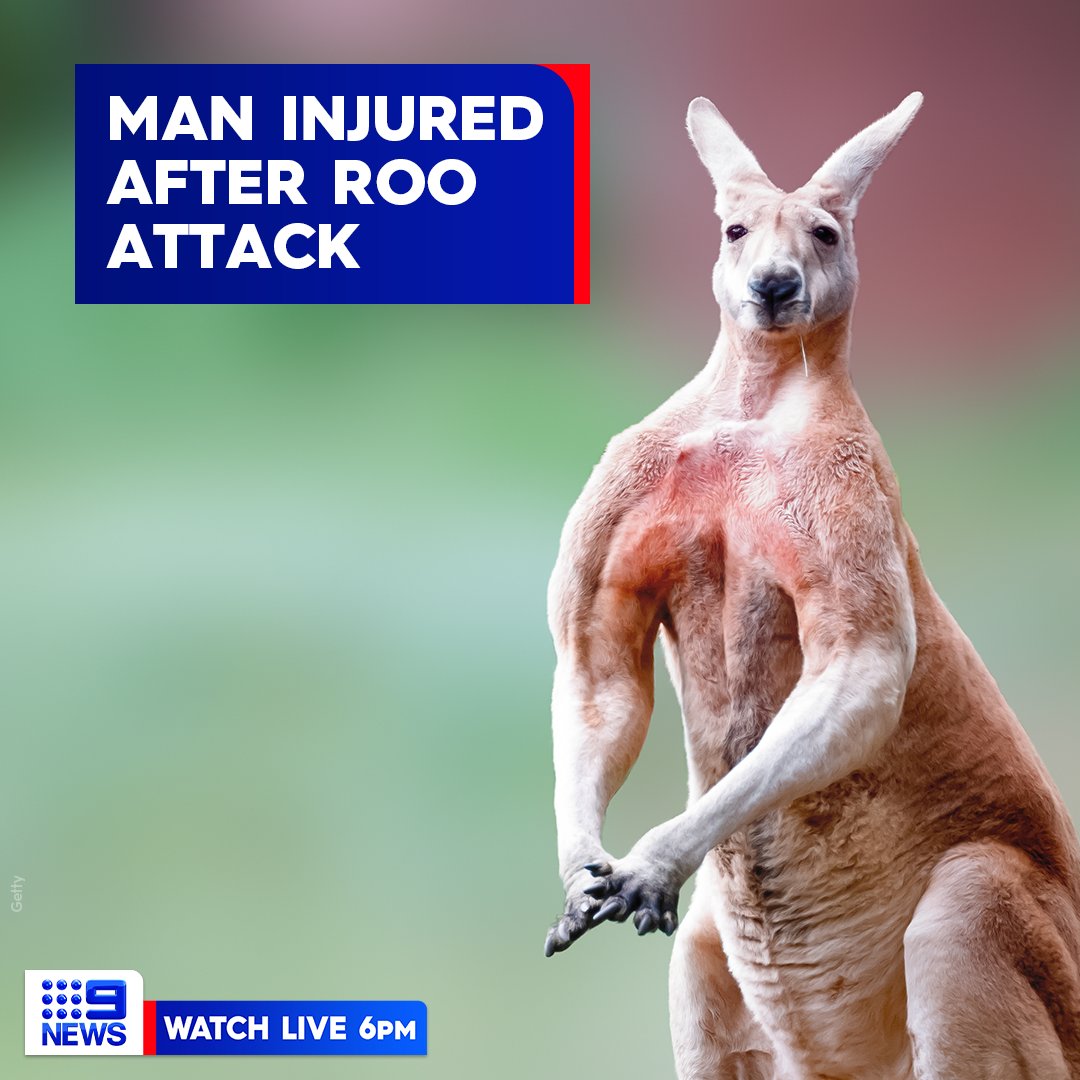 Kangaroo Attack