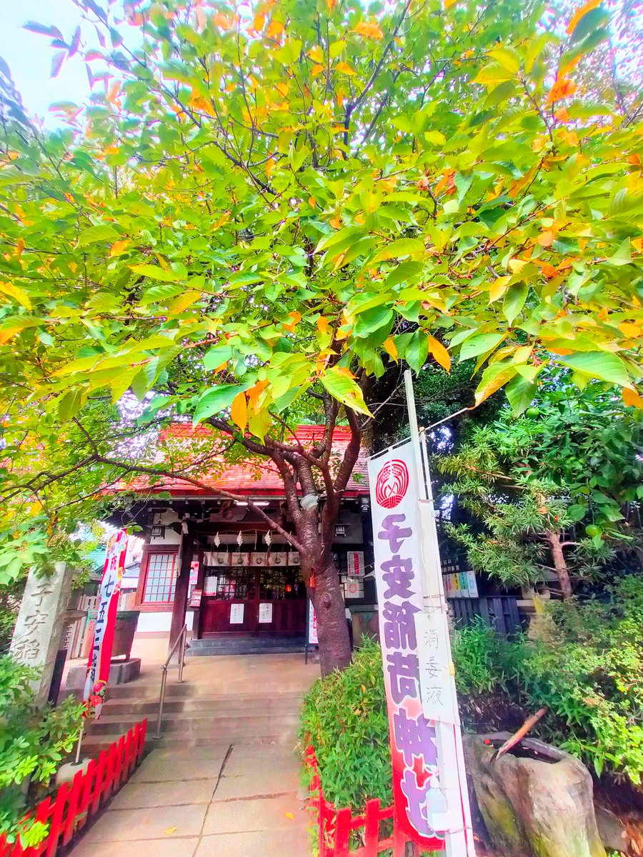 🐰mintblue🐰御朱印巡り@スマホ写真部 on Twitter: "#東京都豊島区 #子安稲荷神社 #朔日まいり 2022/11/1【子安稲荷神社】 11月/月詣りのご挨拶参拝 11月 ...