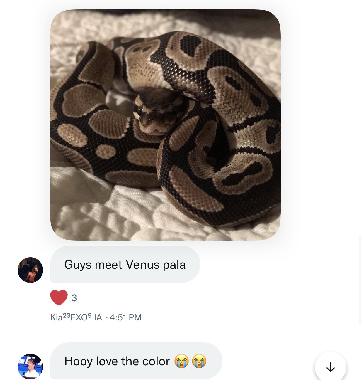 val 'ㅅ' on Twitter: "(12) bukod sa pag fake niya abt herself and her parents she totally ...