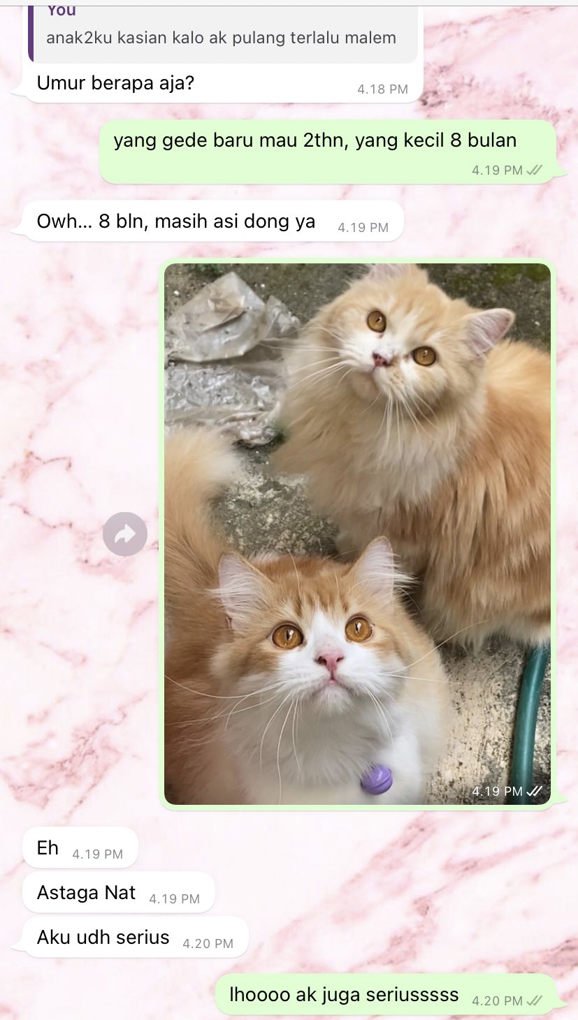 Moko & Nue on Twitter: "ga seriusnya di mana ._. https://t.co/lg57hmmSfJ" / Twitter