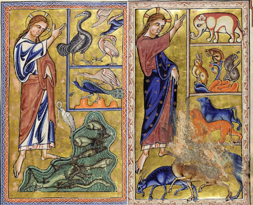Medieval Bestiaries The bestiary is a type of text known nowadays by ...