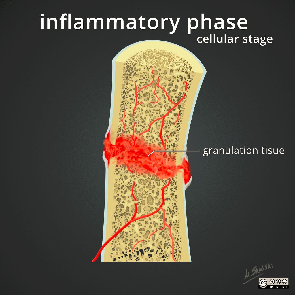 Physio Meets Science On Twitter