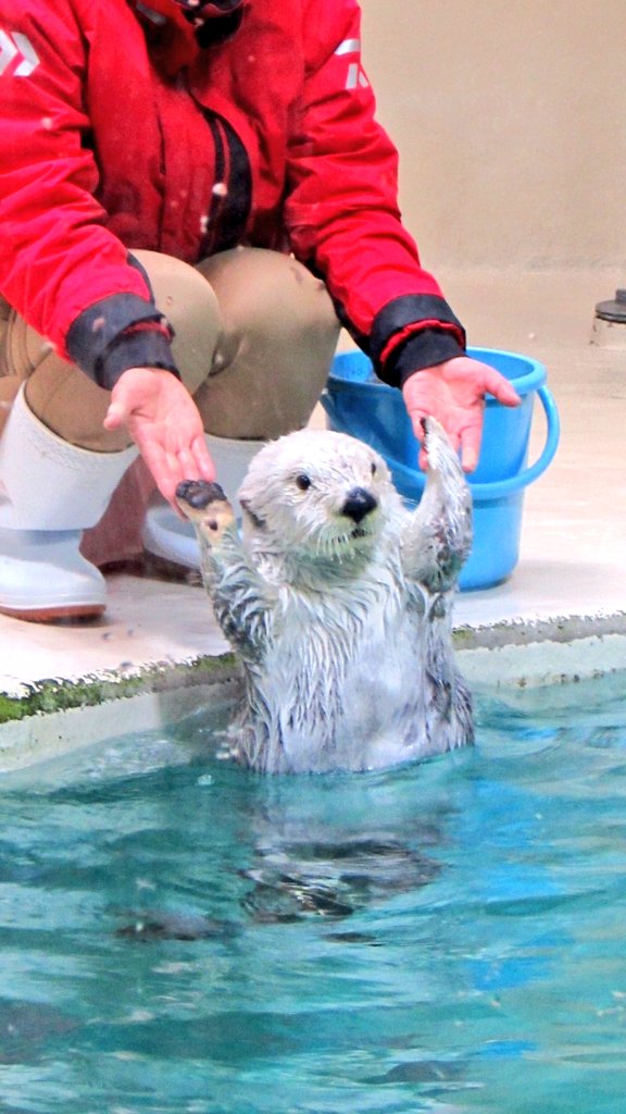 水曜日のダウンタウン★3