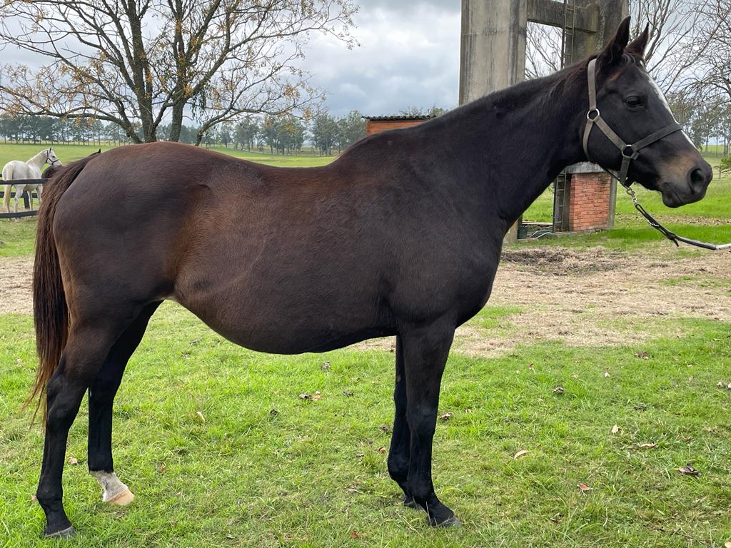 Stud RDI on Twitter: "Además de Love Story, es la madre de In Love (Agnes Gold), que en los ...