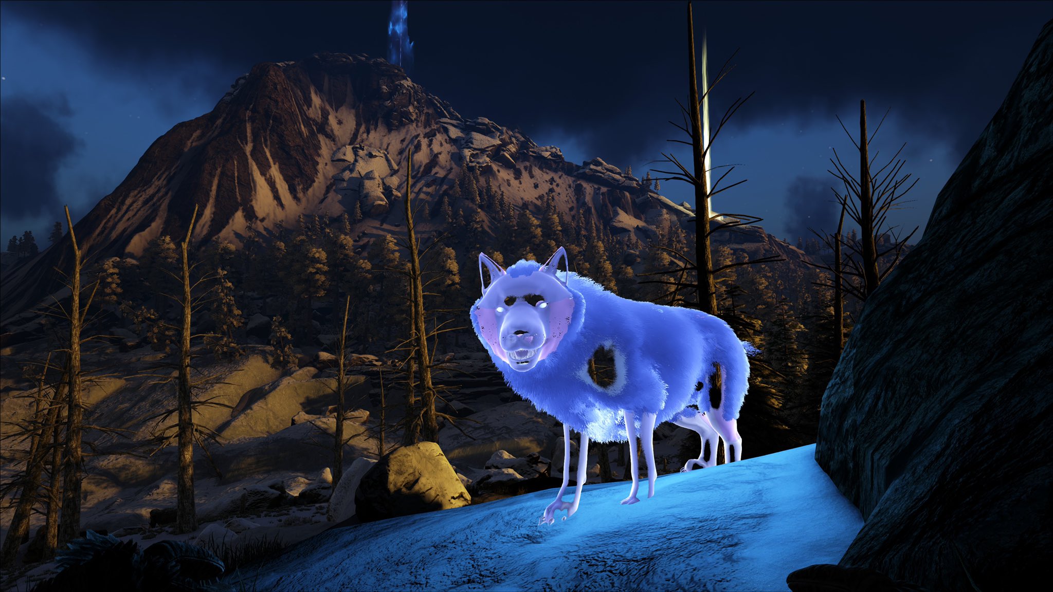 Ghost Dire Wolf HYPEBEAST | Dire Wolves Have Been Brought Back From