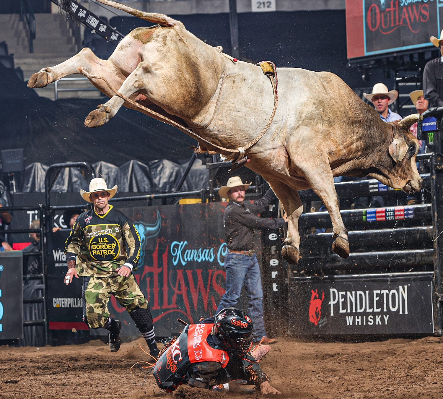 Pbr Rodeo Bulls