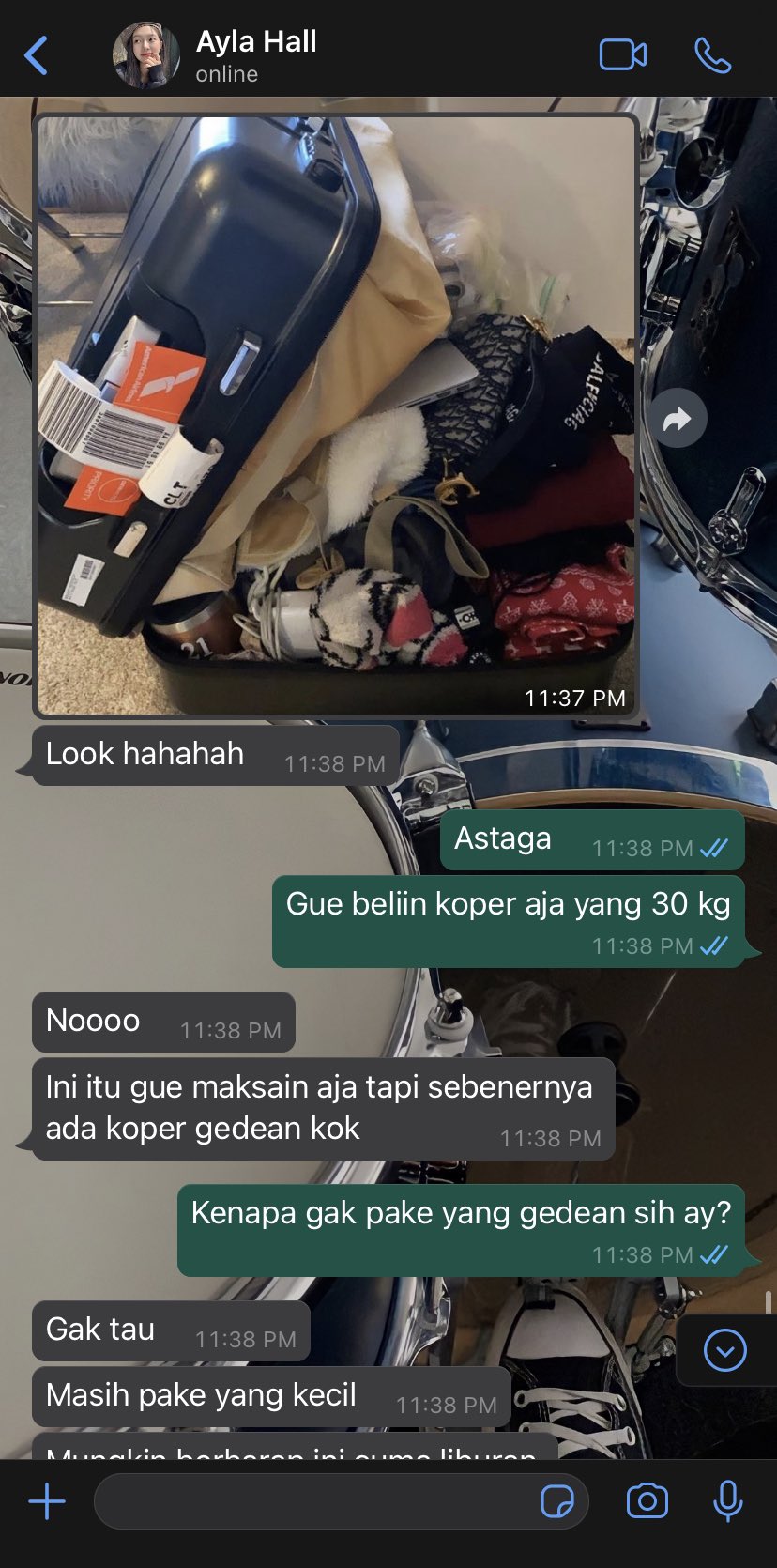 Erina on Twitter: "—517 https://t.co/IrZWKYIYxa" / Twitter