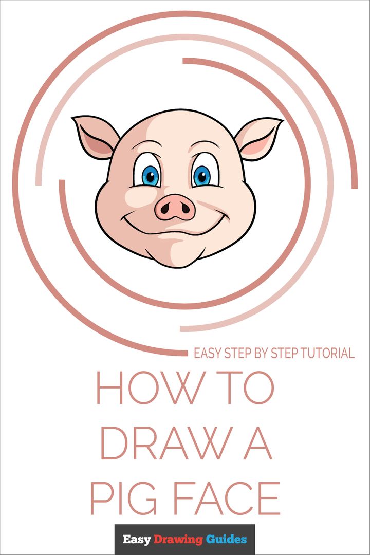 Real Pig Face Drawing