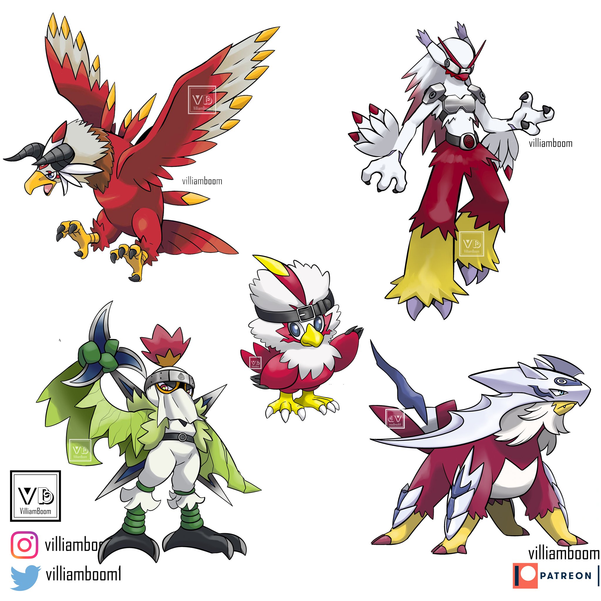 Hawlucha Evolution Chart