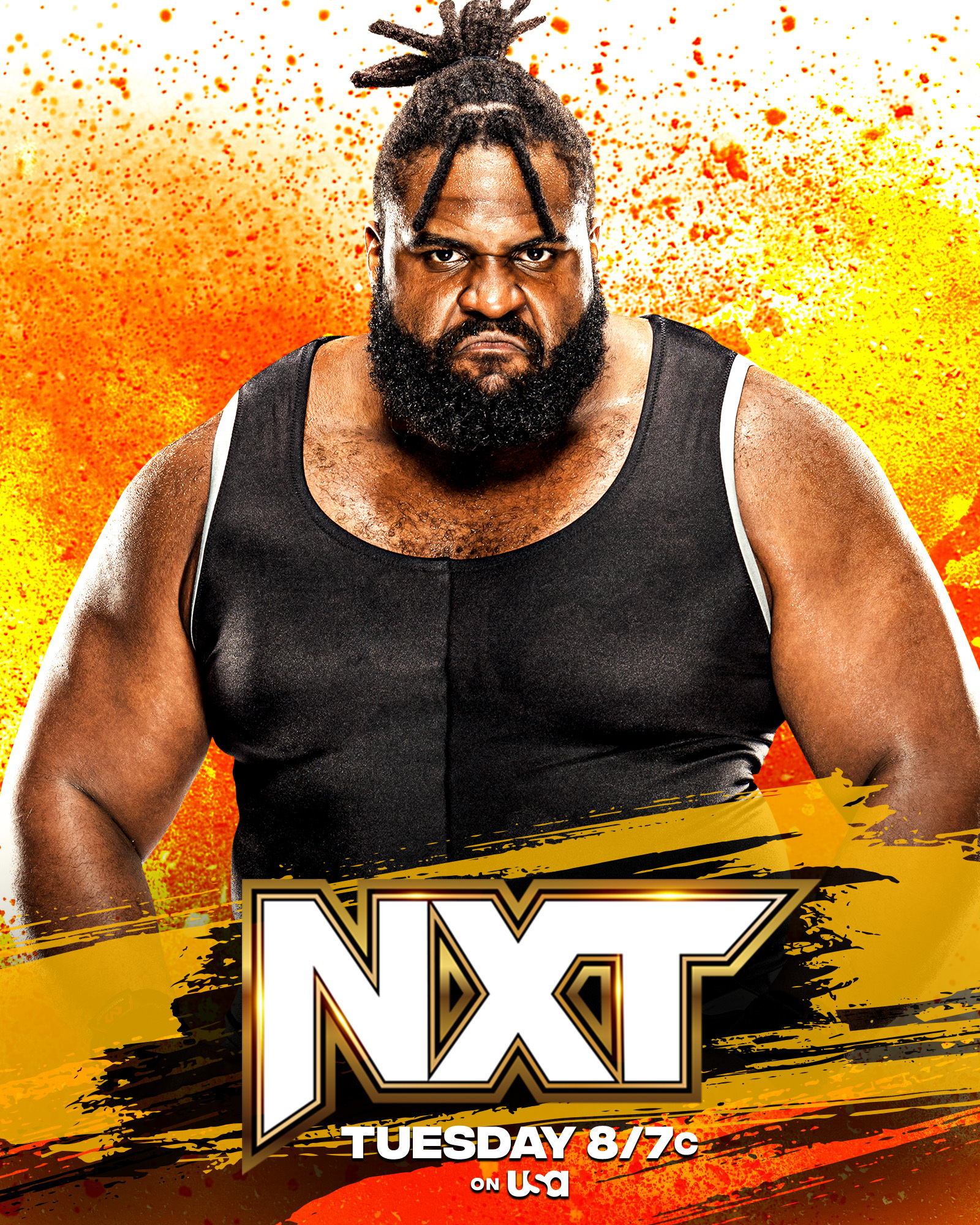 Wwe 2022 Roster Poster