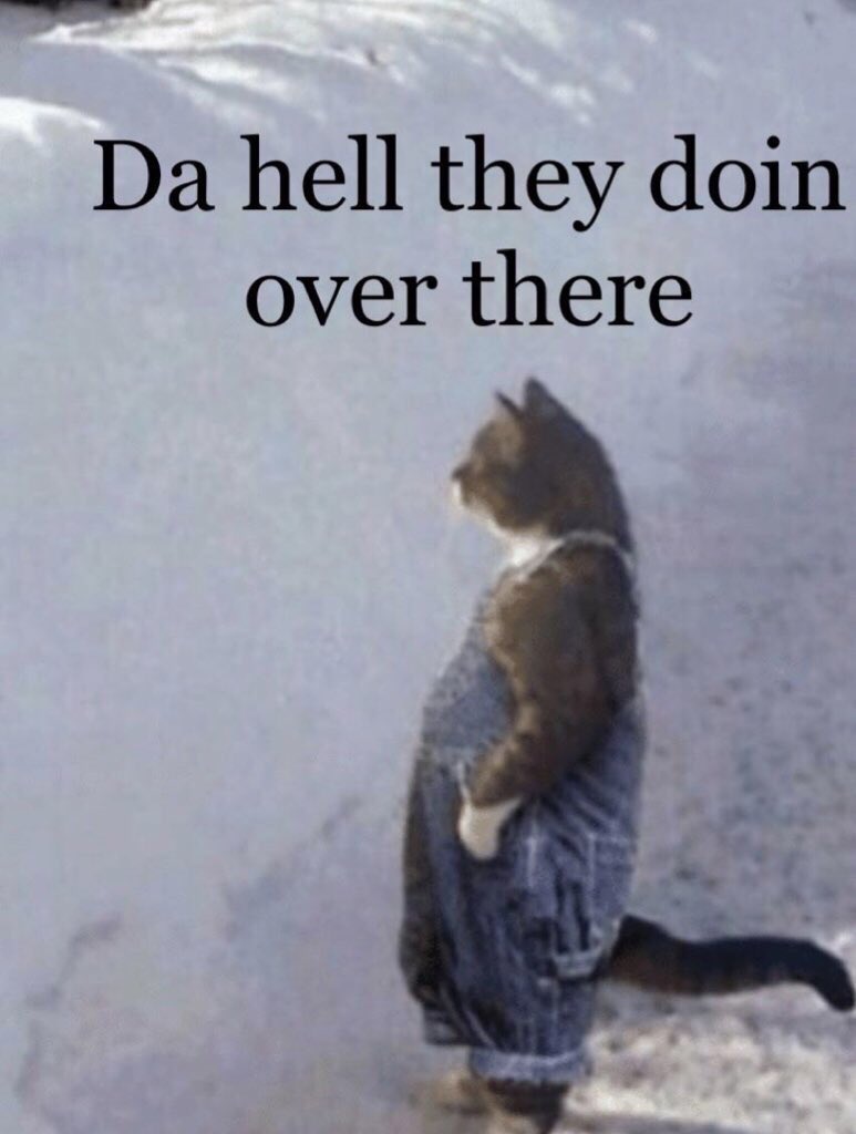 Death Screens and More Version Discrepancies : r/signalis