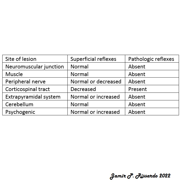 The arcane superficial reflex!!! “response to stimulation of either the ...