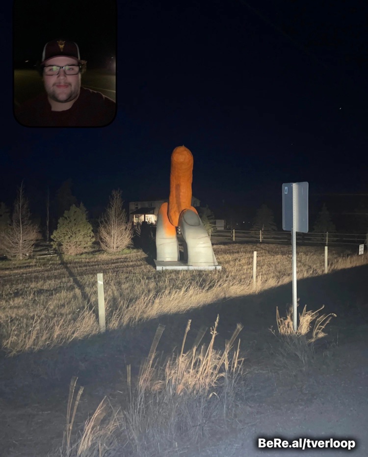 User Submission : r/bereal_app
