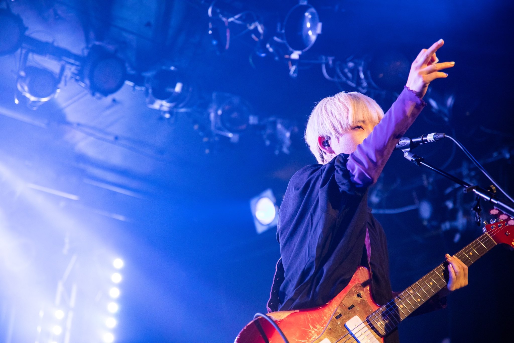 Hakubi (@Hakubi_info) / Twitter