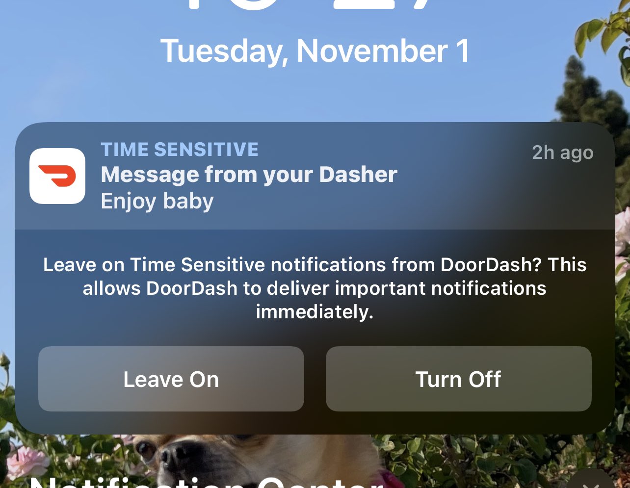 TW Pornstars - SYDNEY THUNDER. Twitter. Lmao my door dasher Jerry was ...