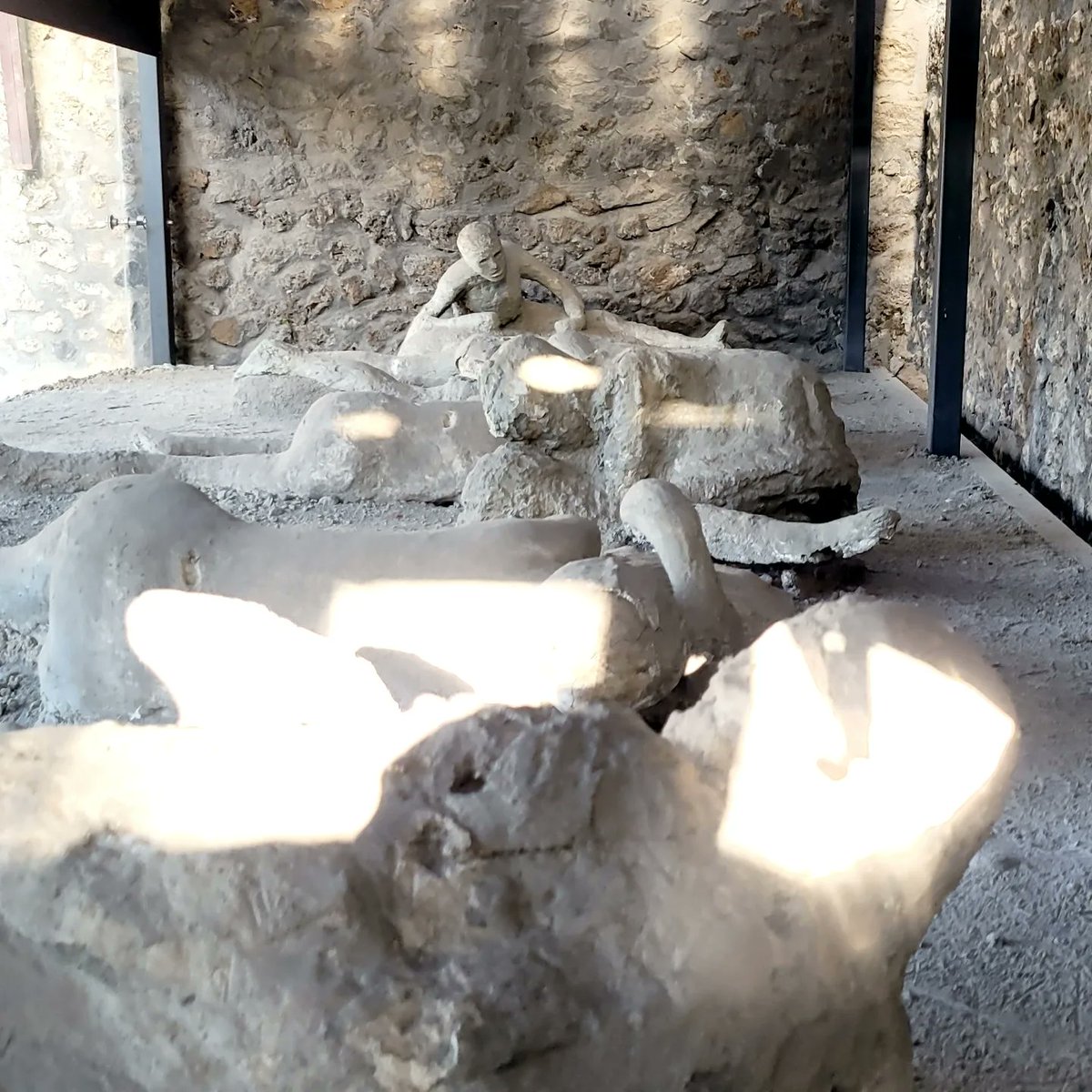 During the excavations in Pompeii, the remains of over one thousand ...