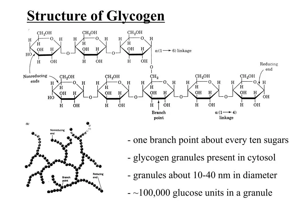 Thread by @Mangan150 on Thread Reader App – Thread Reader App