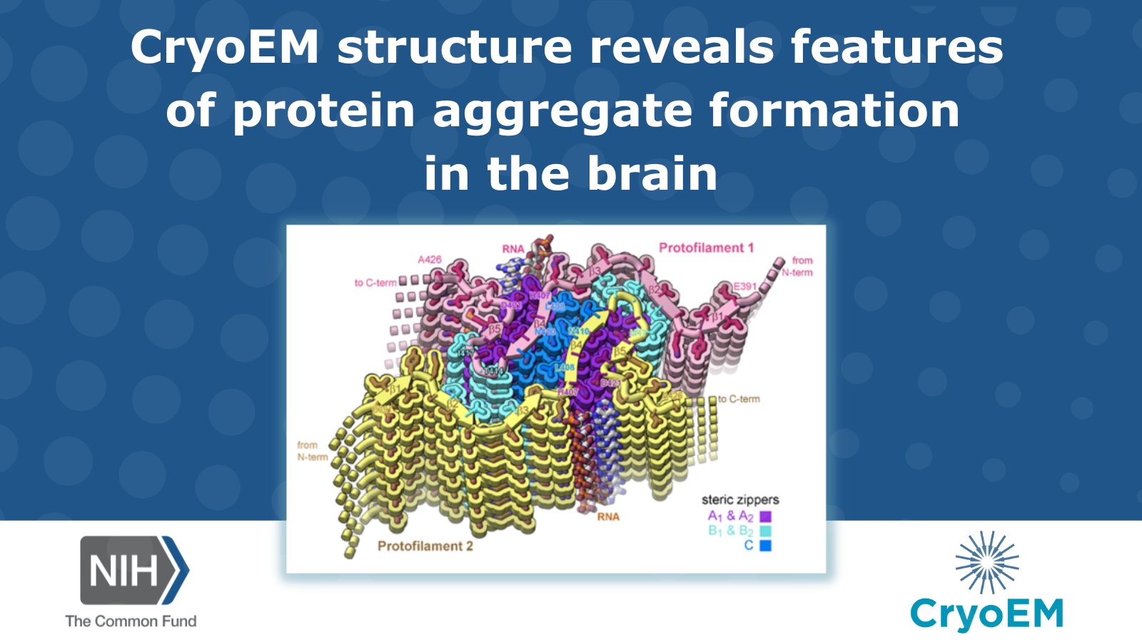 NIH Common Fund on Twitter: "Our CryoEM program helps #BiomedicalResearchers build skills in # ...