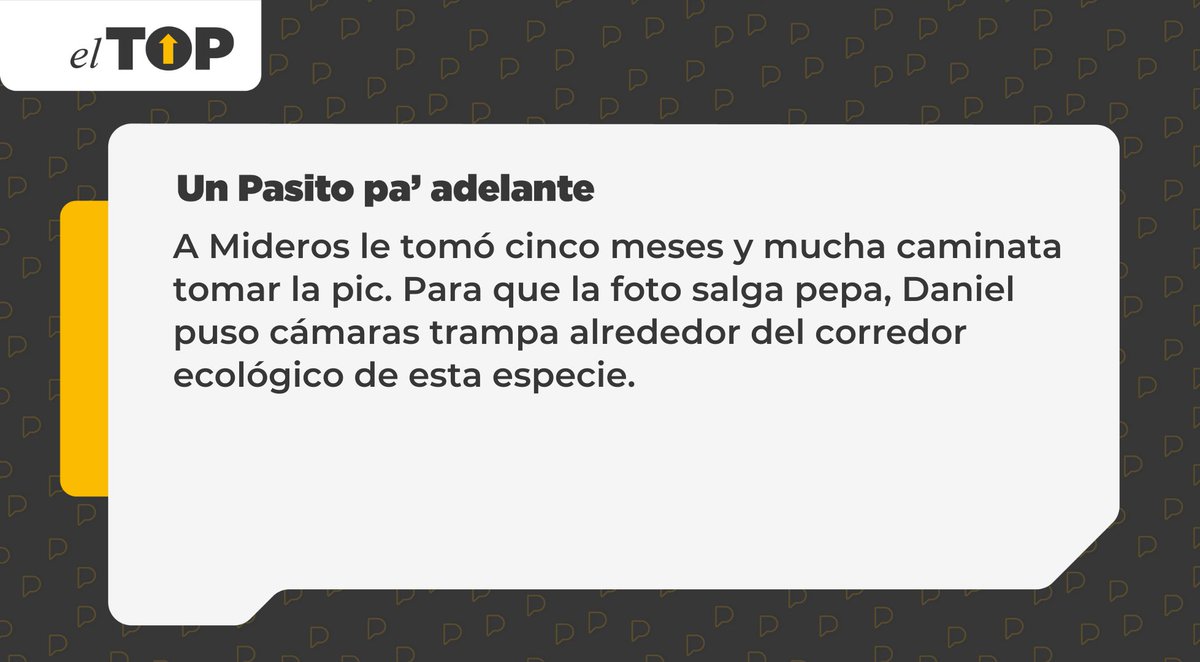 La Posta on Twitter: "Si crees que los ojos de anteojos son 'cute ...