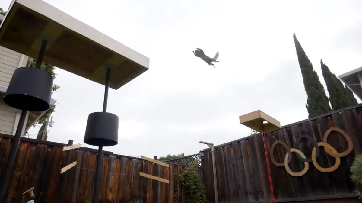 Le YouTubeur Mark Rober a créé des épreuves des Jeux Olympiques pour ...