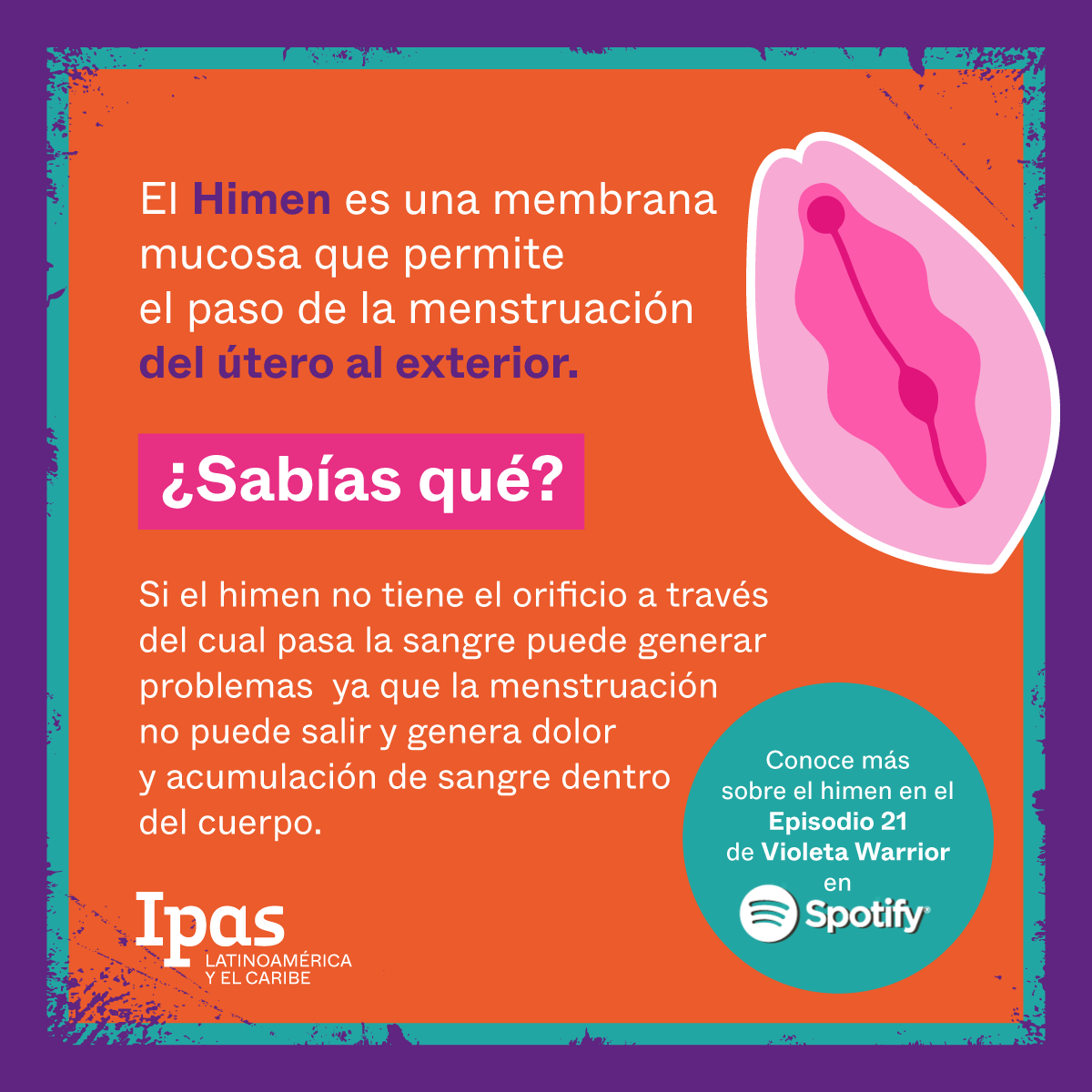 Anatomía De La Membrana Del Himen