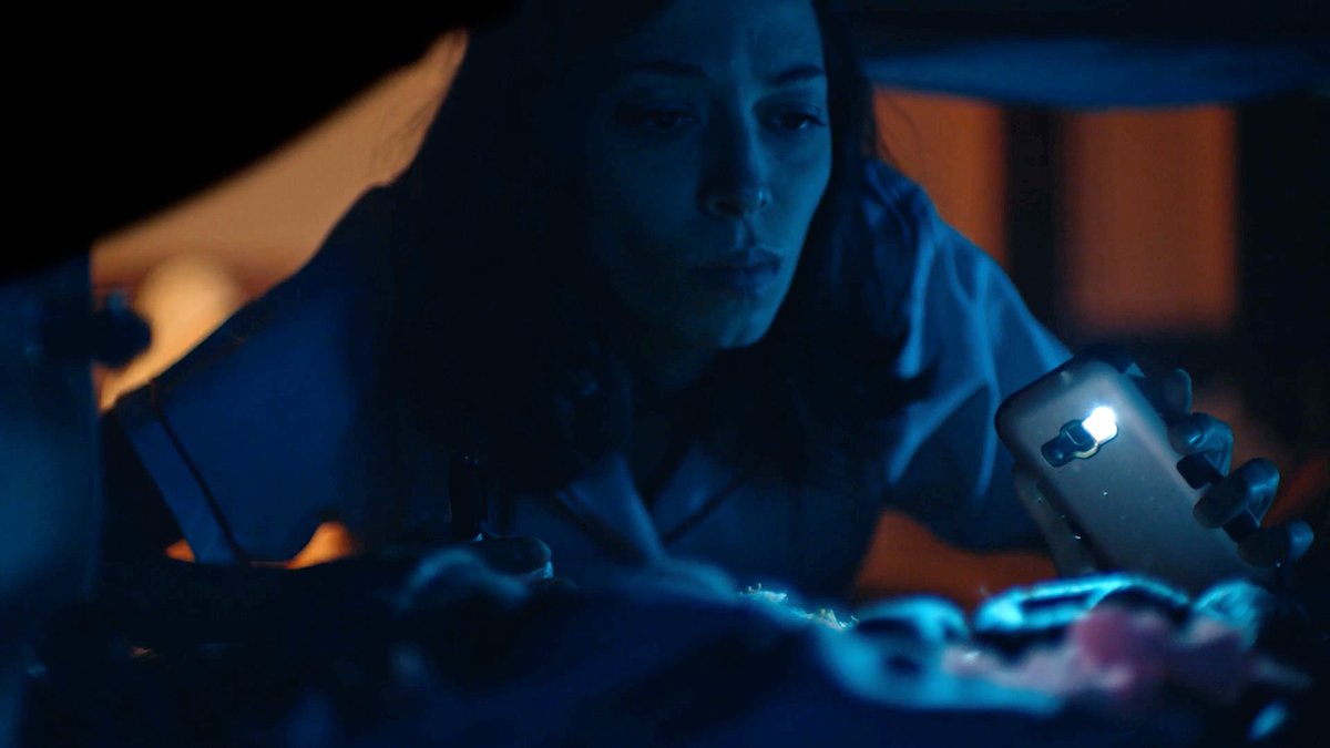 Watch: A Creepy Rodent Revenge Horror Short - 'This Is Our Home' https ...