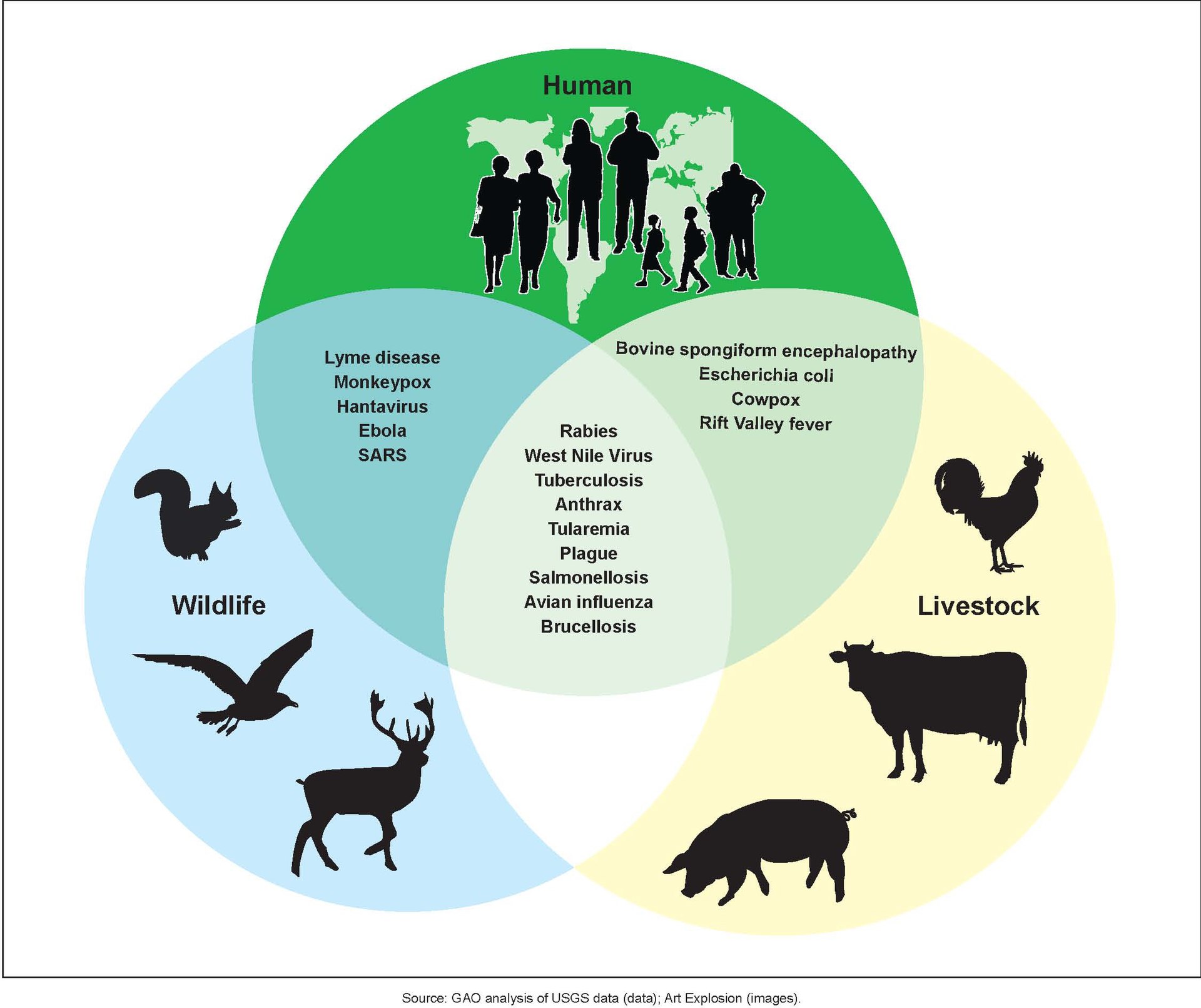 Plague Of Diseased Livestock