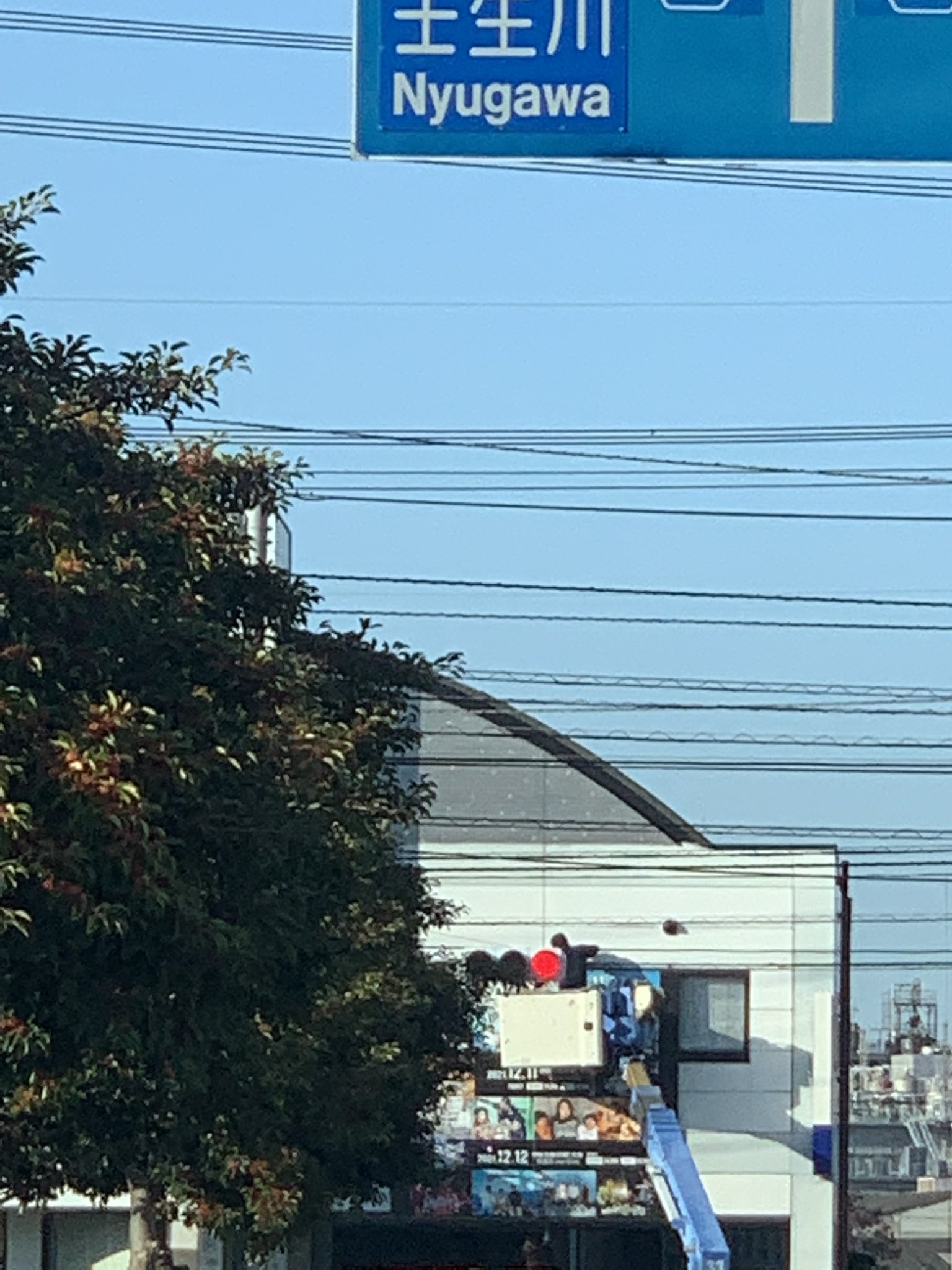 hikaru yasuda on Twitter: "あぁ〜 ついに来たか！ ストハン ありがとうございます！ #我が家の日照権問題 #座敷4年ぐらい日浴びてないよ #ストハン ...