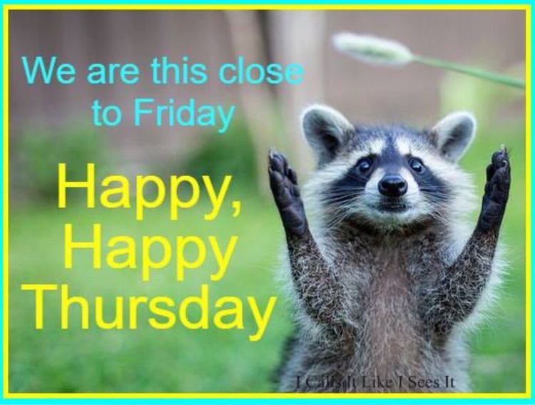 Happy Thursday Animal Pictures