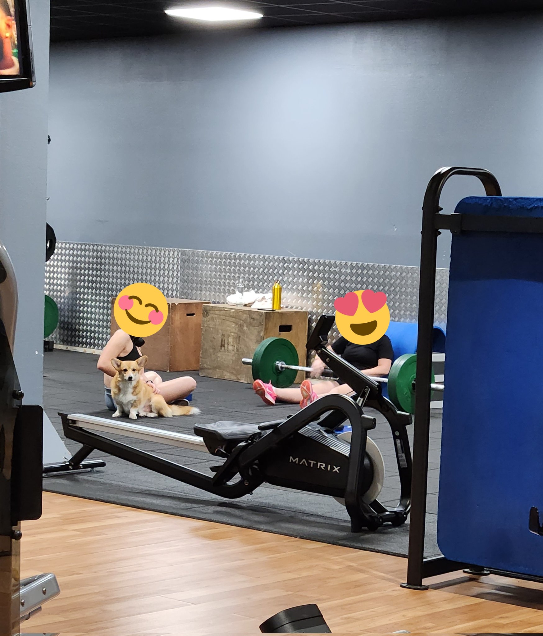 Léo - TechMaker on Twitter: "Bon... il y va pas pour les mêmes raisons par contre https://t.co ...