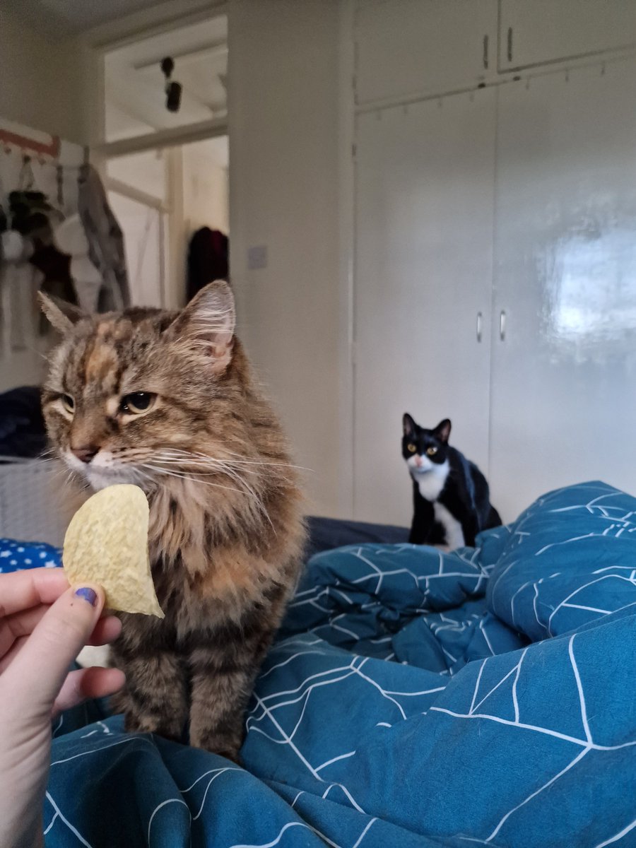 I let someone else have a Pringle and Smol Paul is FURIOUS - المسلسل من ...