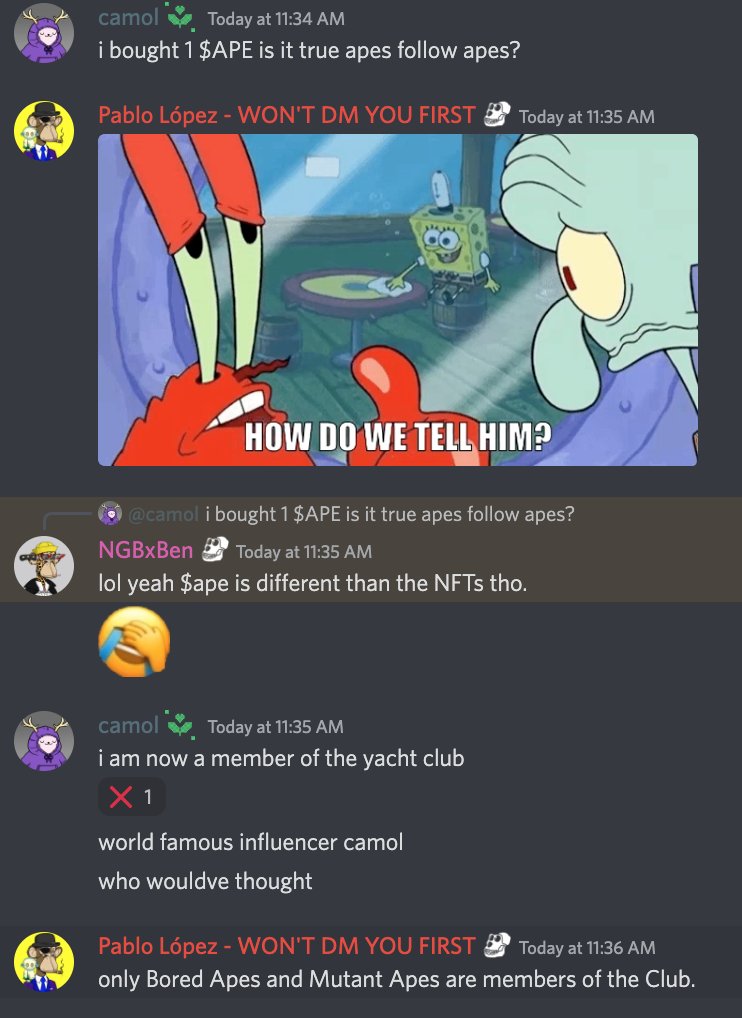 camol on Twitter: "Todays vocabulary word: Apesplain Apesplain: verb, BAYC holder explaining ...