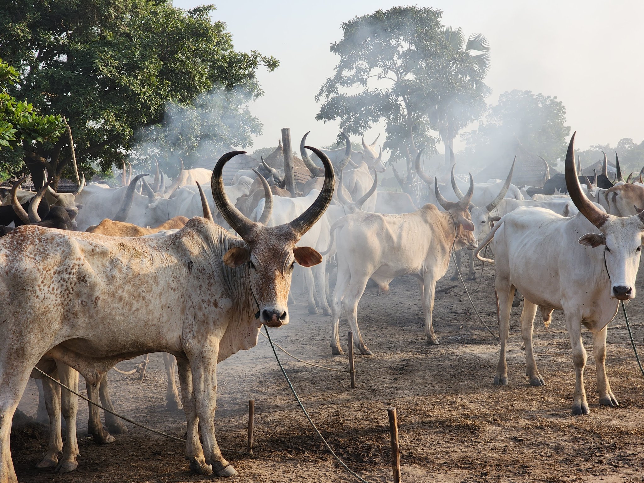 UNESCO South Sudan on Twitter: UNESCO South Sudan on Twitter: