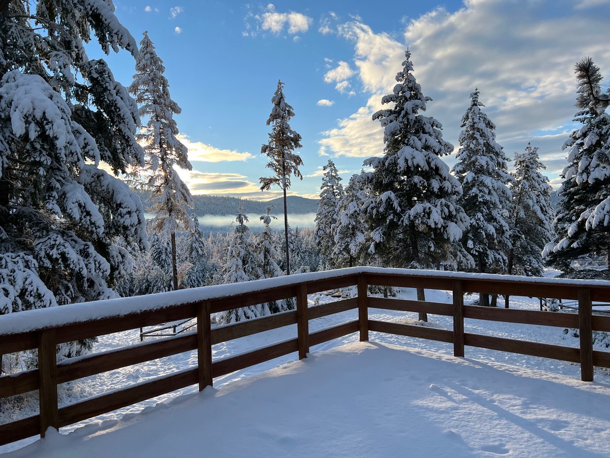 Hello November 🤍 Jayden Cole @jaydencole