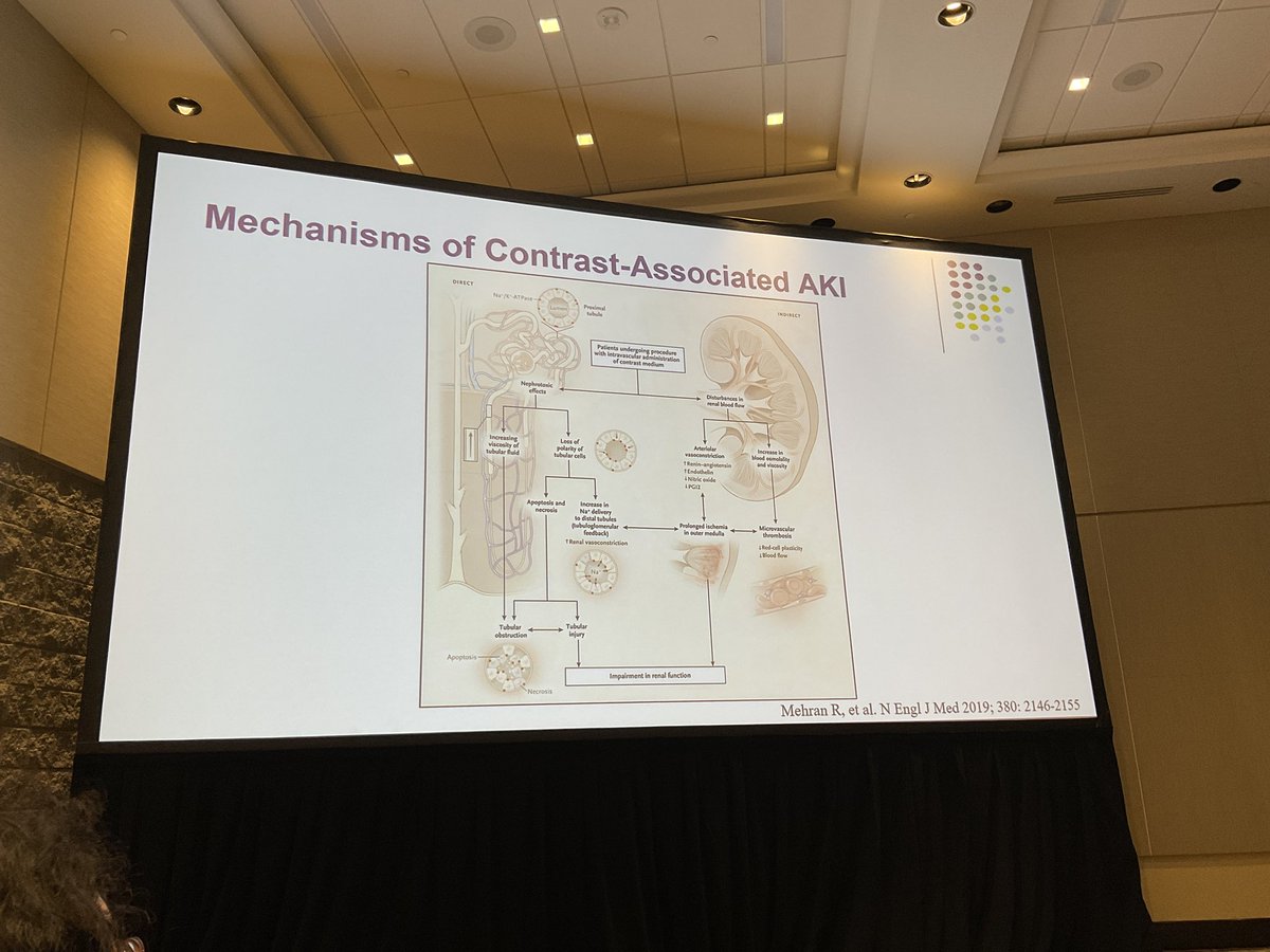 Next up Paul Palevsky to talk on preventing something called contrast ...