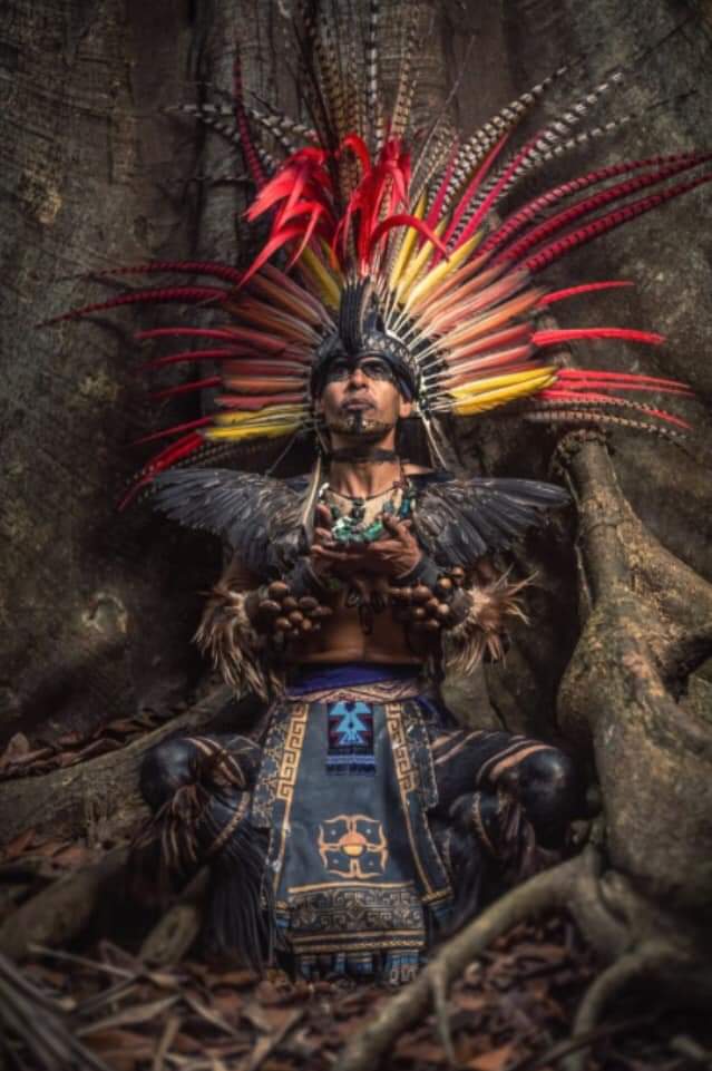 Eagle Warrior Wallpaper