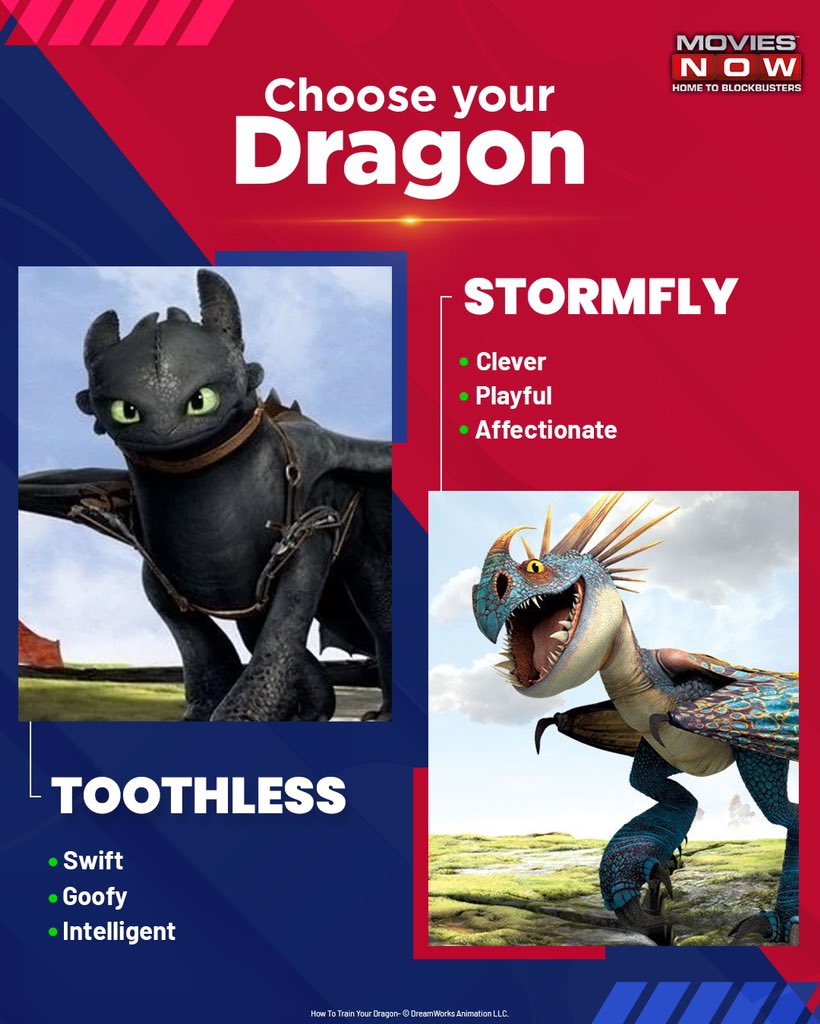 How To Train Your Dragon Stormfly And Toothless