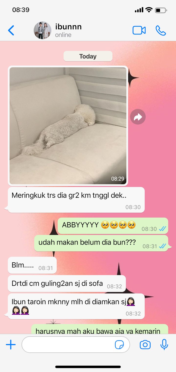 Syaa On Twitter 88 Https T Co Lvuxuqvsrm Twitter