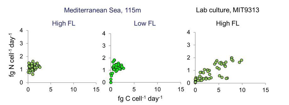 Daniel Sher on Twitter: "We begin to answer this question through single-cell measurements of N ...