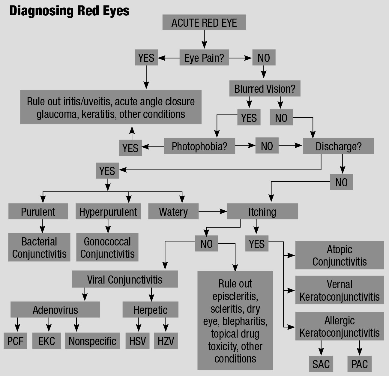 Differential Diagnosis Flowchart