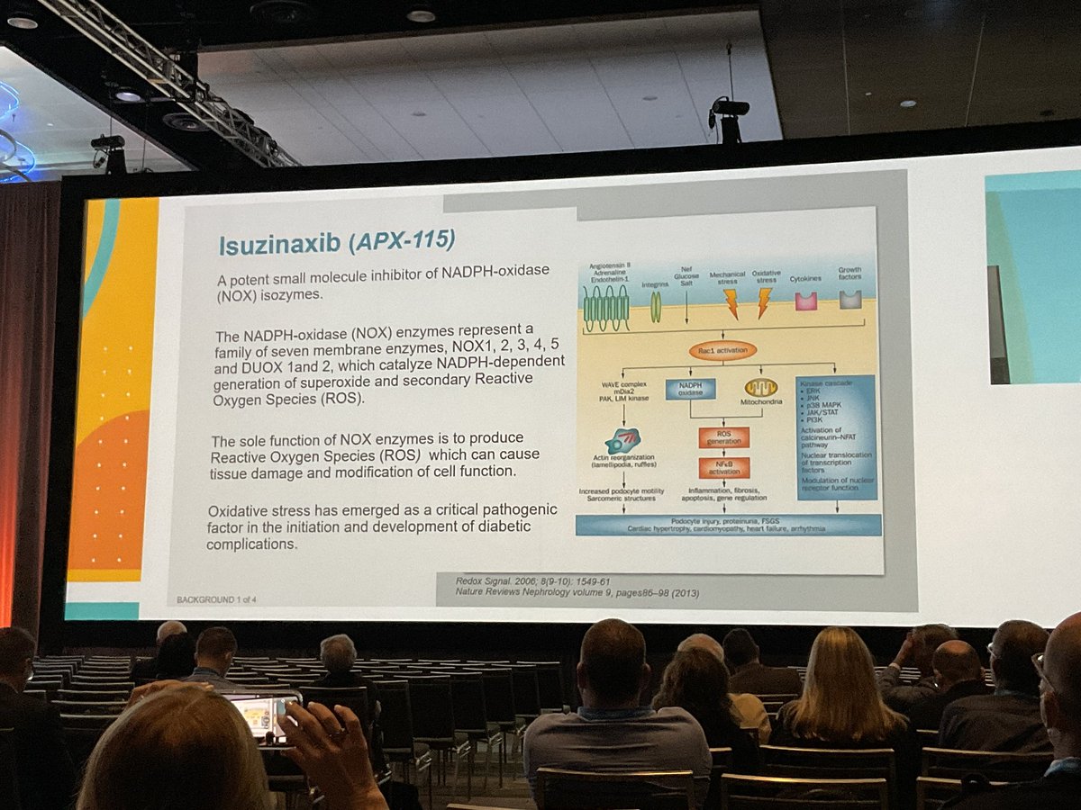 Next up Isuzinaxib, a pan-NOX inhibitor, in type 2 DM and CKD #KidneyWk ...