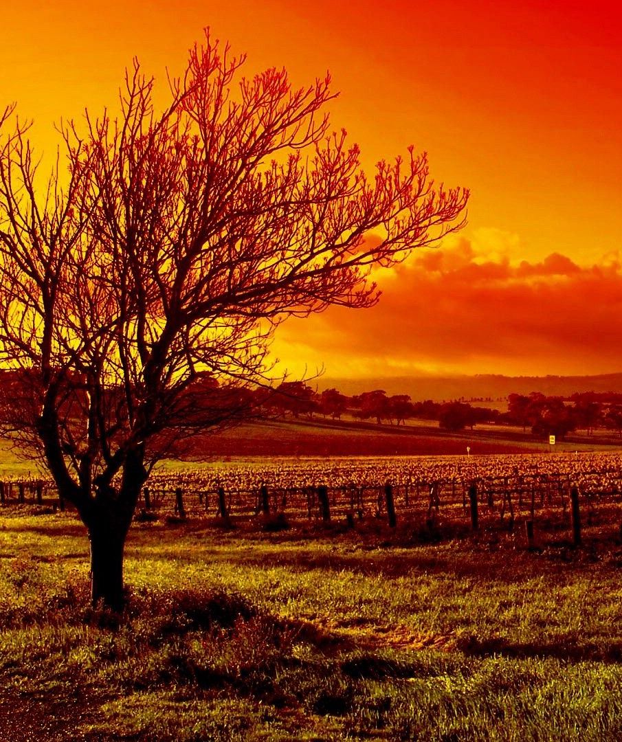 Tina Koskima 🇫🇮🕊️🇺🇦 On Twitter Naked November Sunset 🌇