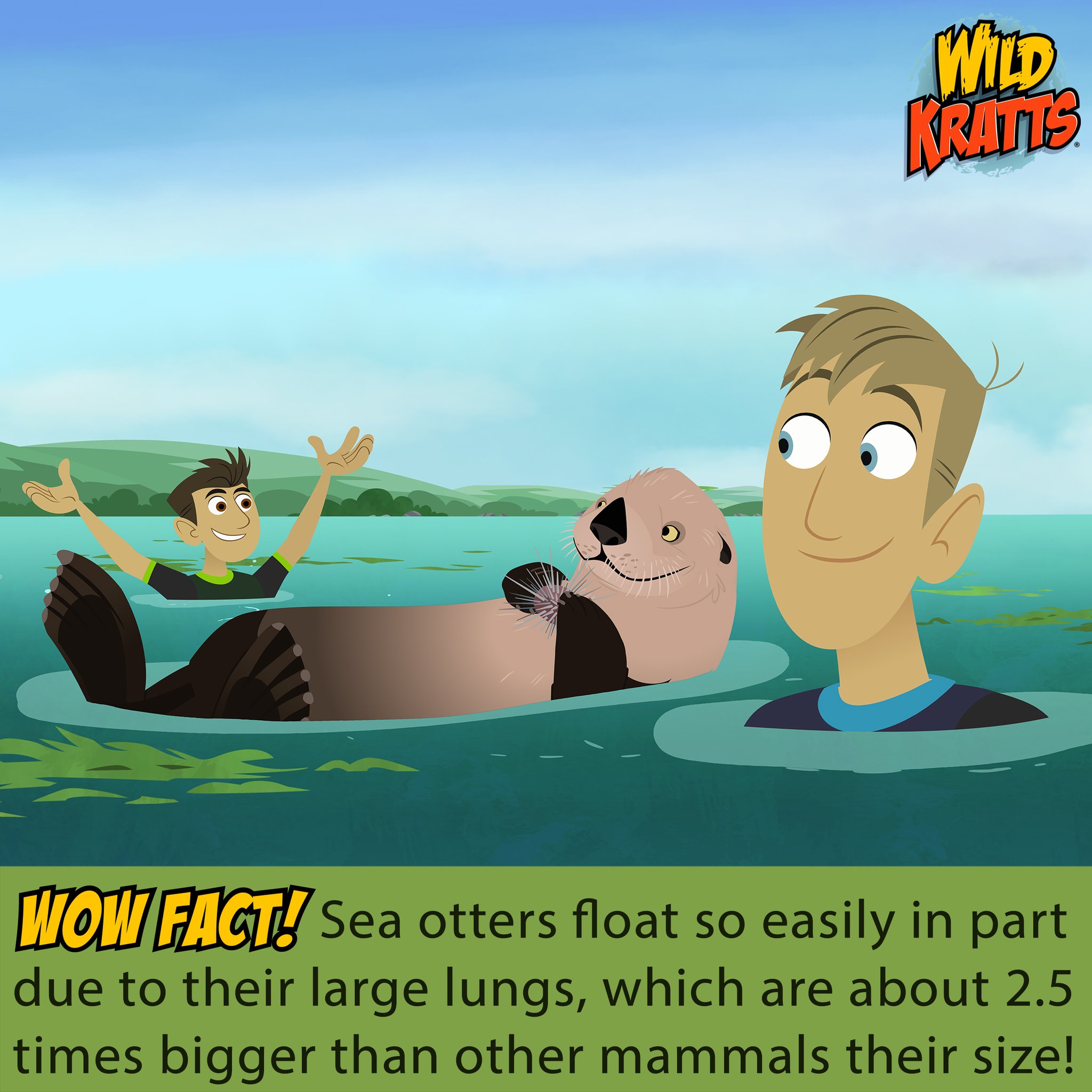 Wild Kratts on Twitter: "Did you know that sea otters are the furriest ...