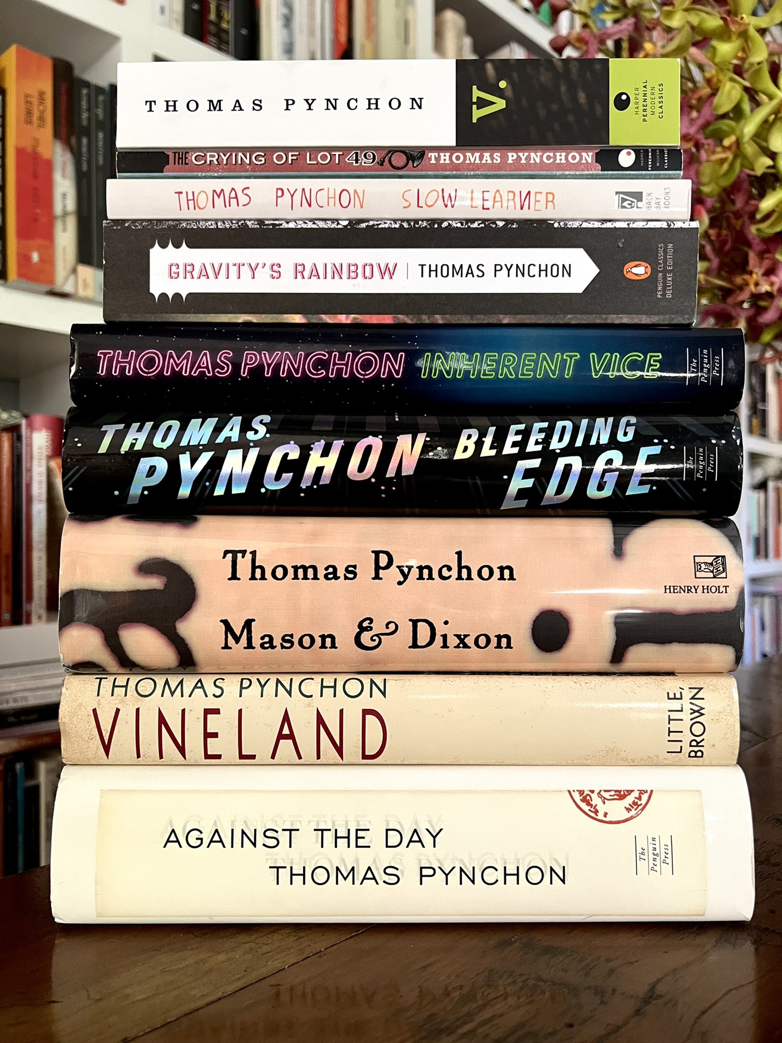 Thomas Pynchon Books