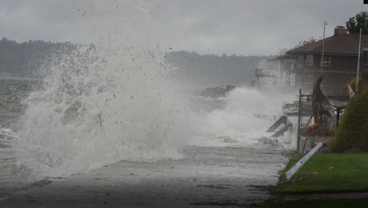 Michael Snyder on Twitter: "Windstorm and big waves on Puget Sound November 4th, 2022 https ...