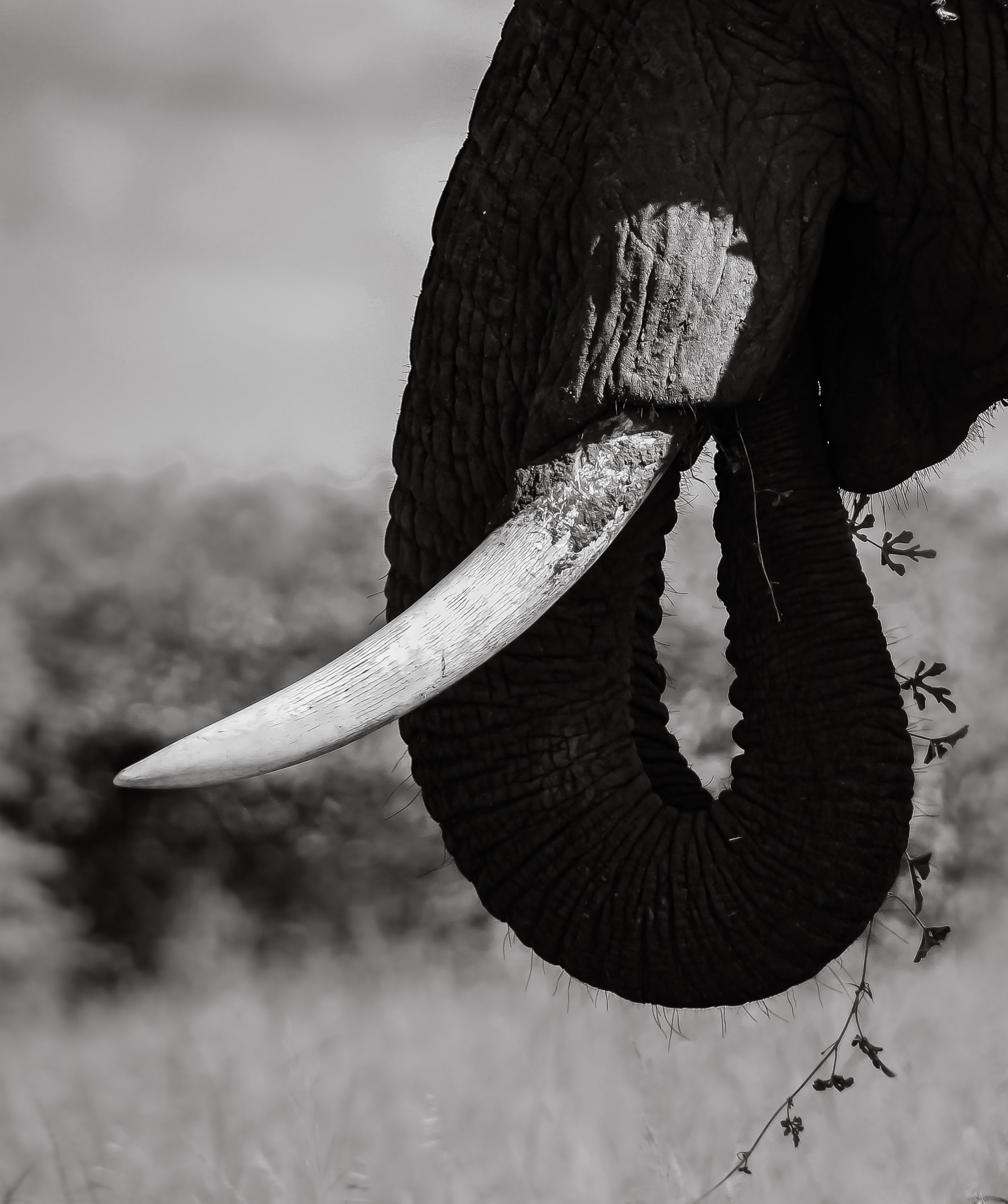 @vcaresidency/vca residency cohort 4 / Twitter