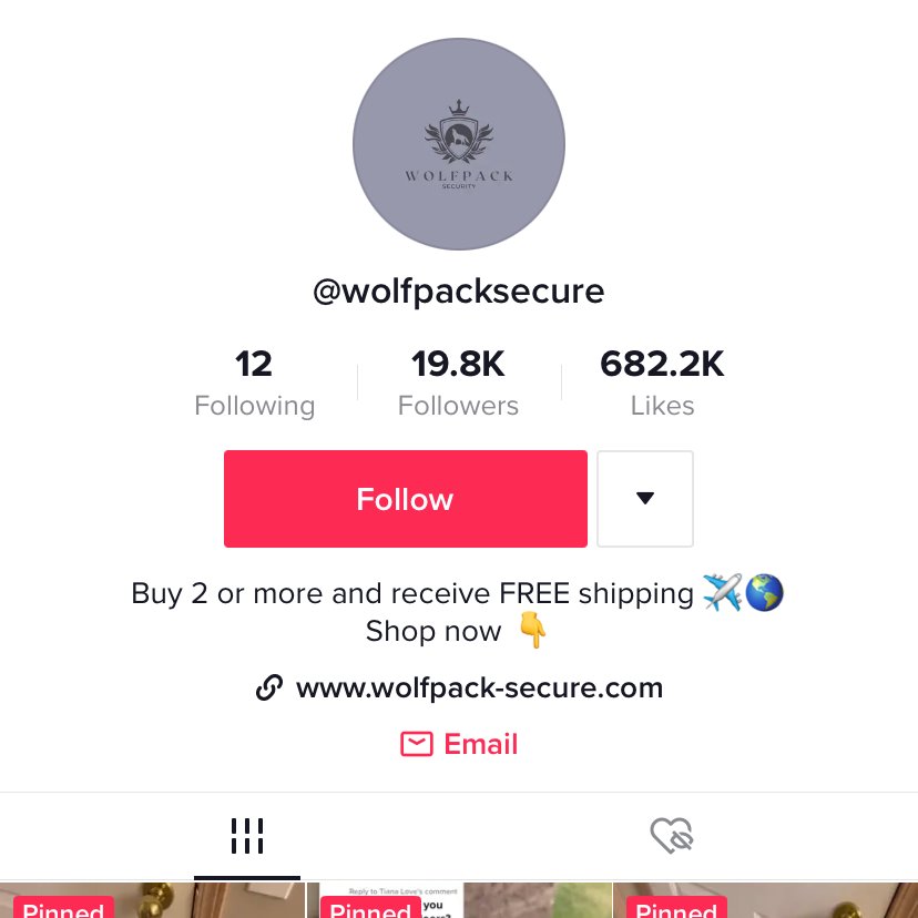This dropshipping store made $20k in 1 day from TikTok organic. Here's how you can do the same ...
